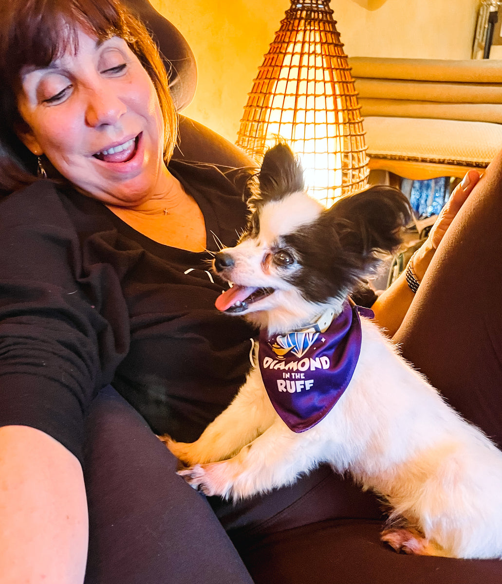 Diamond in the Ruff Bandana – Broadway Pup